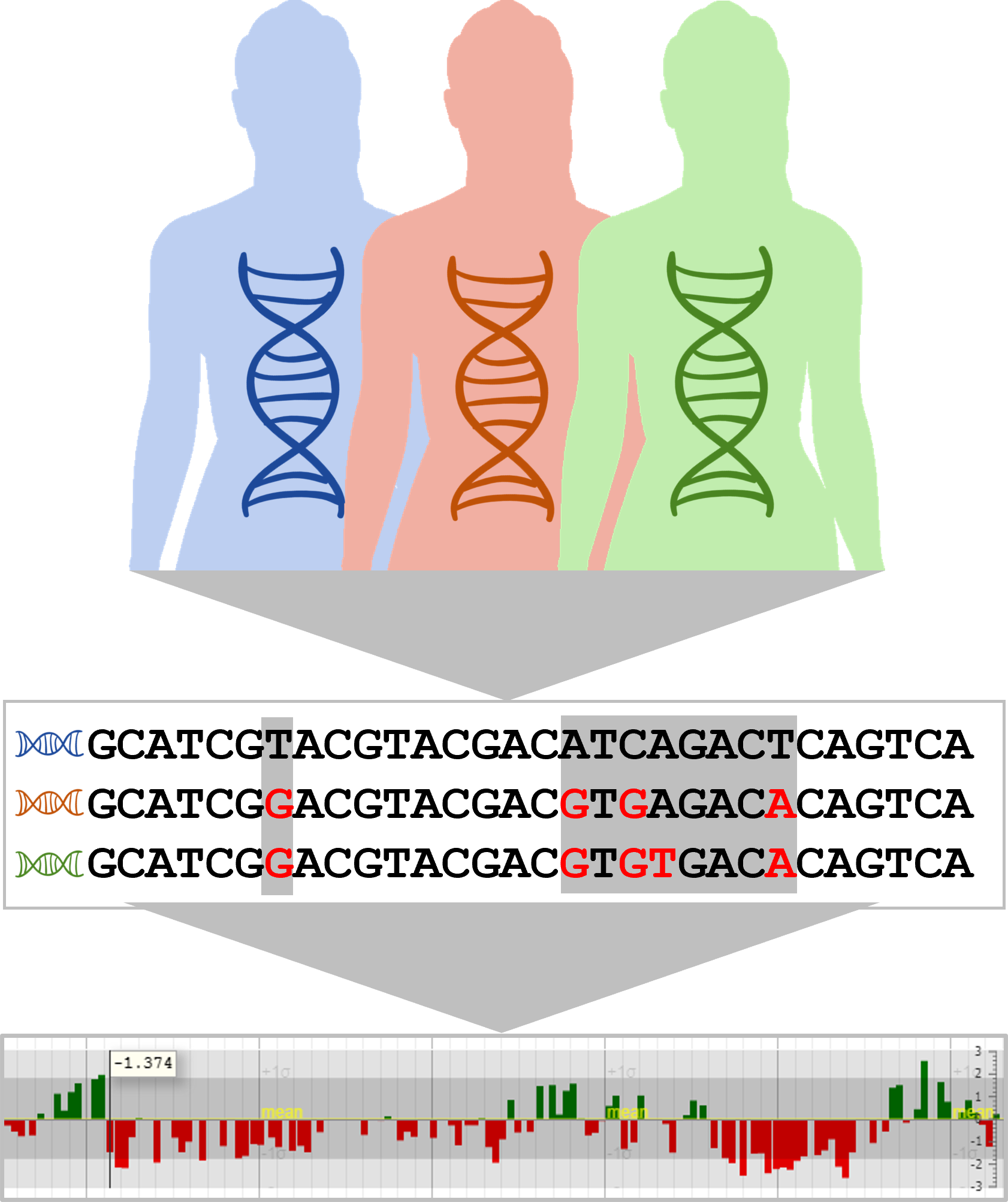 The research in our group - Bioinformatics of Genome Diversity